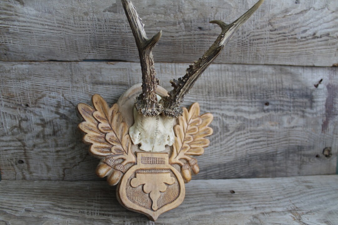 Hanger Horn, Home Decor Horns of Roe Deer on Wooden Plate, Hunting ...
