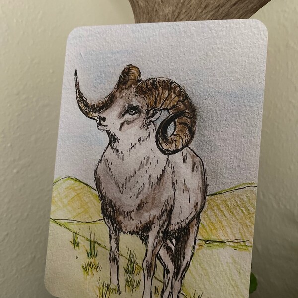 Dahl Sheep - Etsy