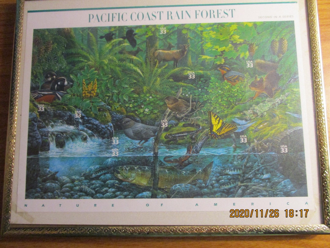 Framed Pacific Coast Rain Forest Stamps: Uncut Sheet of 10 - Etsy