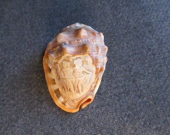 Conch Shell Cameo - Etsy
