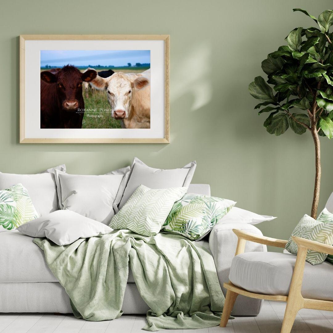 Cow Print Rustic Country Cow Decor Indiana Cow Wall Art Cow Print ...
