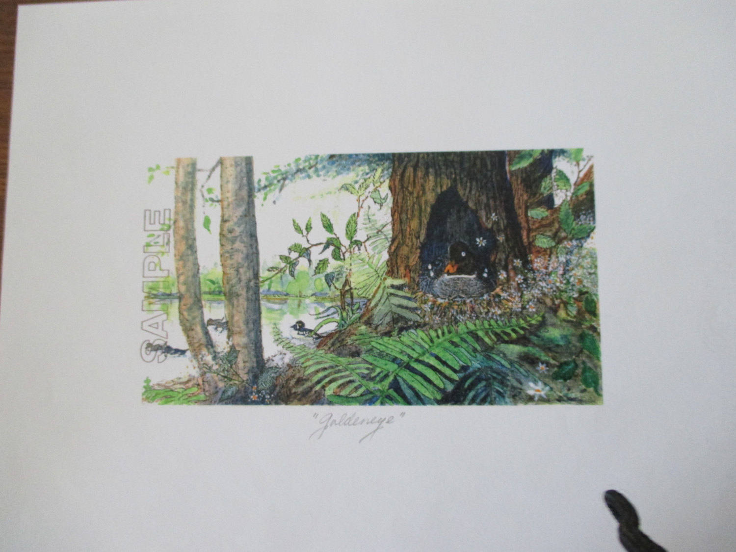 Gary Burghoff Paintings