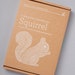 Metalwork Embroidery Squirrel Kit - Etsy