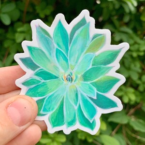 3x2.5" Succulent Vinyl Waterproof Sticker, Laptop Decal, Waterbottle ...