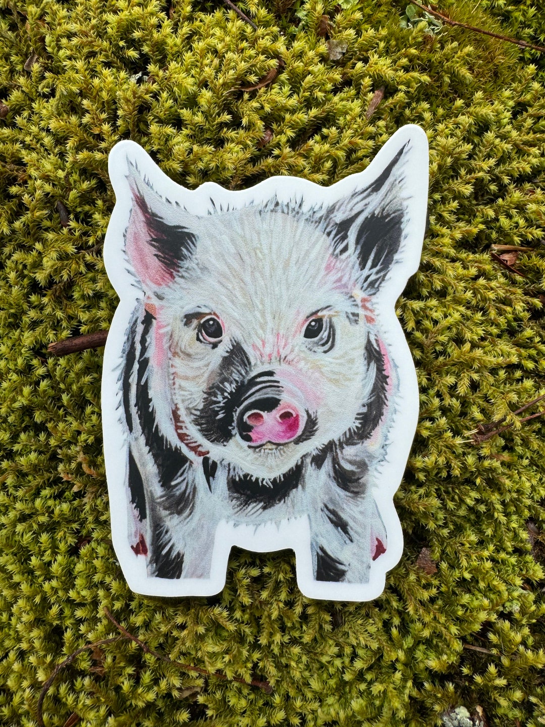3x2" Pig Waterproof Sticker, Water Bottle Sticker, Fuzzy, Farm Sticker ...