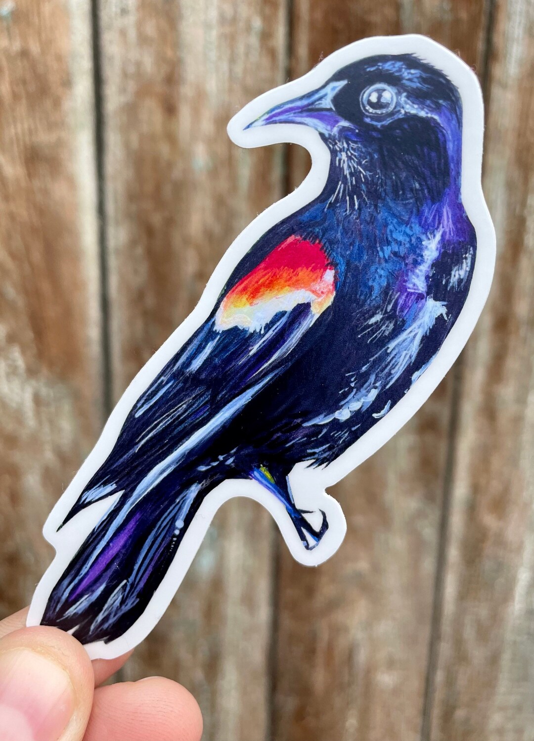 4x2” Red Winged Blackbird Sticker, Bird Sticker, Laptop Decal, Vermont ...