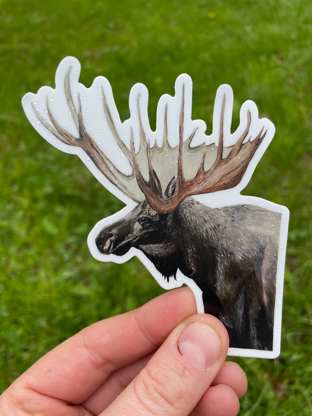 3.5x4" Moose Waterproof Sticker, Vermont Sticker, Woodland Creature ...