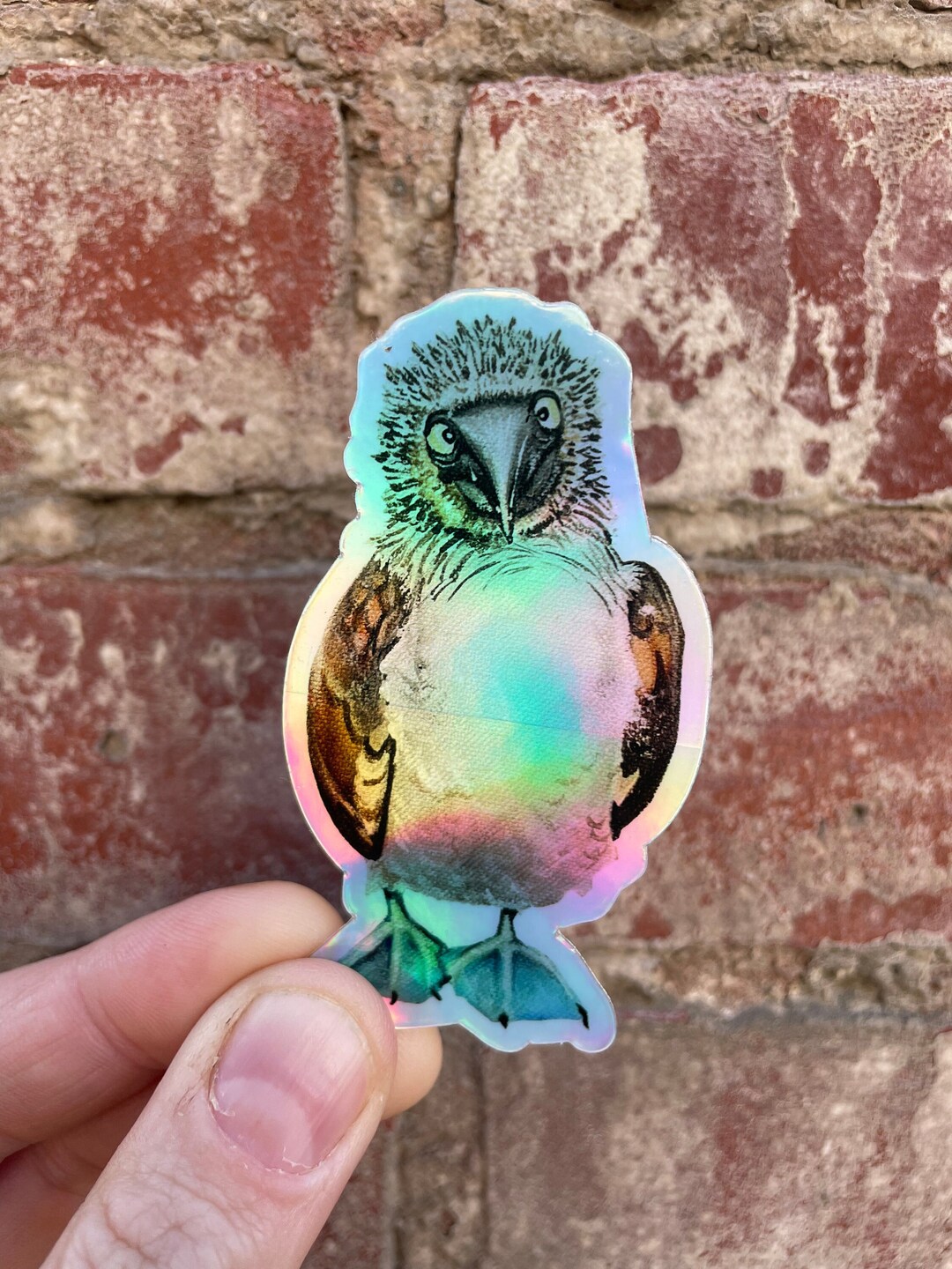 Blue Footed Booby Sticker: Holographic Vinyl Waterproof Decal - Etsy