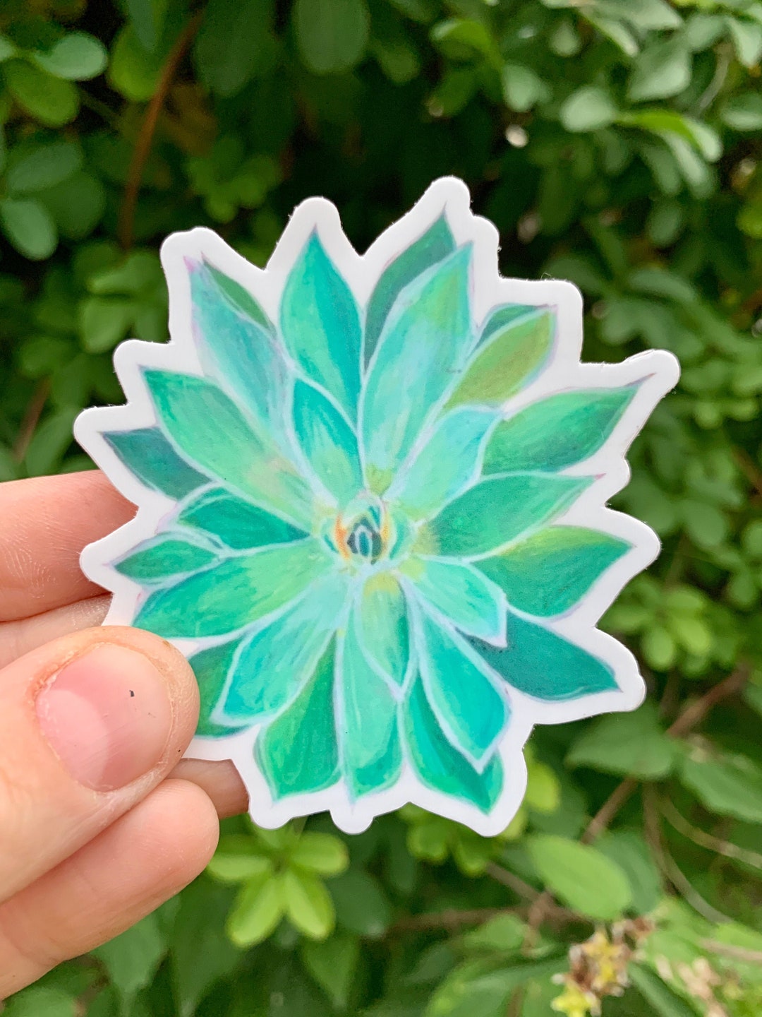 3x2.5" Succulent Vinyl Waterproof Sticker, Laptop Decal, Waterbottle ...