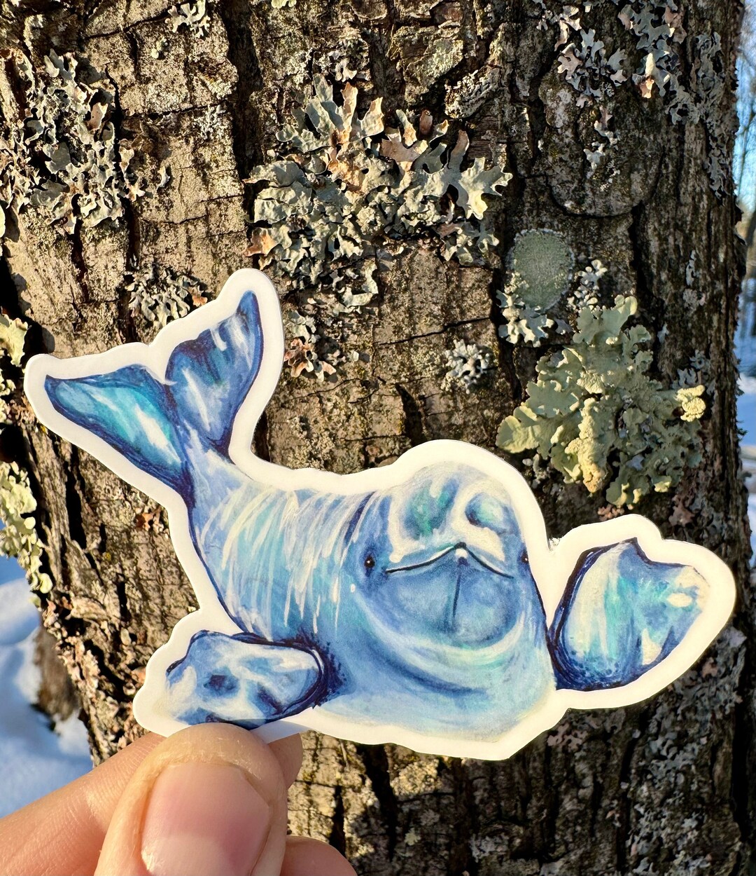 3x3" Vinyl Waterproof Beluga Die Cut Sticker, Whale Sticker, Water ...