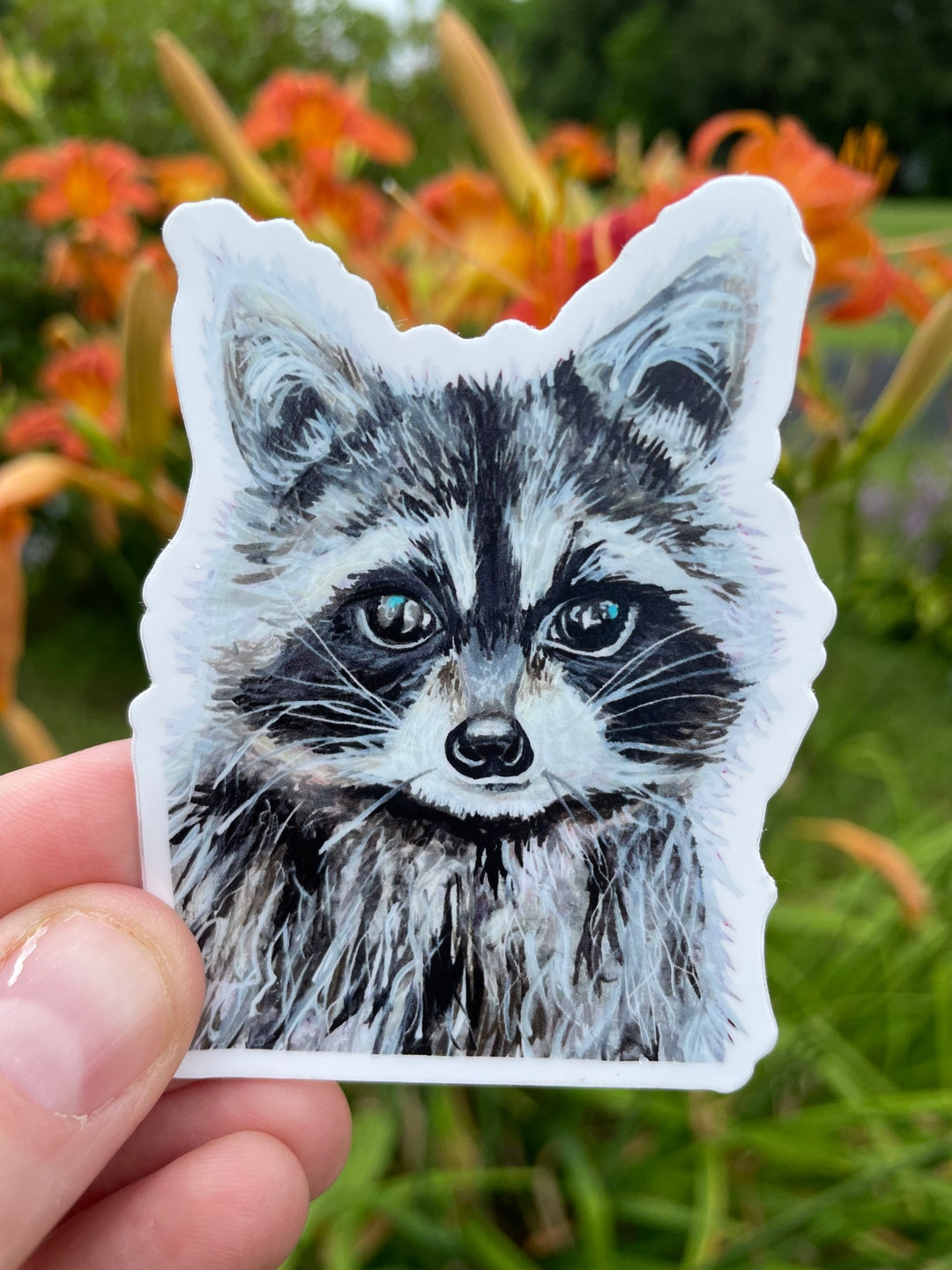 Raccoon Sticker: Waterproof Vinyl Decal for Laptop or Water Bottle - Etsy