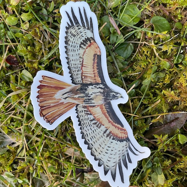 Hawk - Etsy