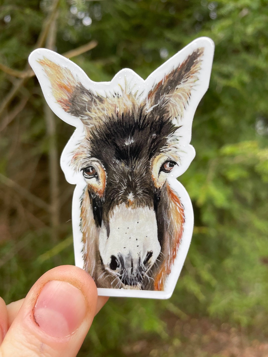 2x3" Donkey Waterproof Sticker, Die Cut Sticker, Vermont Sticker ...