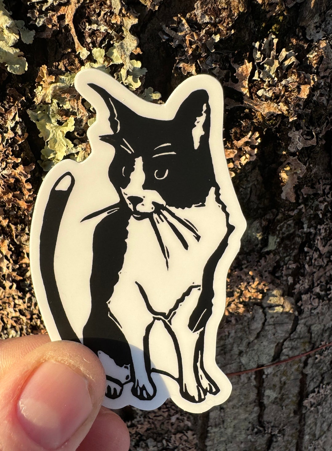 3x2" Vinyl Waterproof Cat Die Cut Sticker, Cat Sticker, Water Bottle ...
