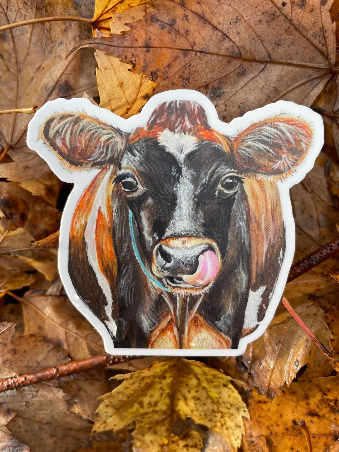 3x3 Heifer Waterproof Sticker, Cow Sticker, Vermont Sticker, Laptop ...