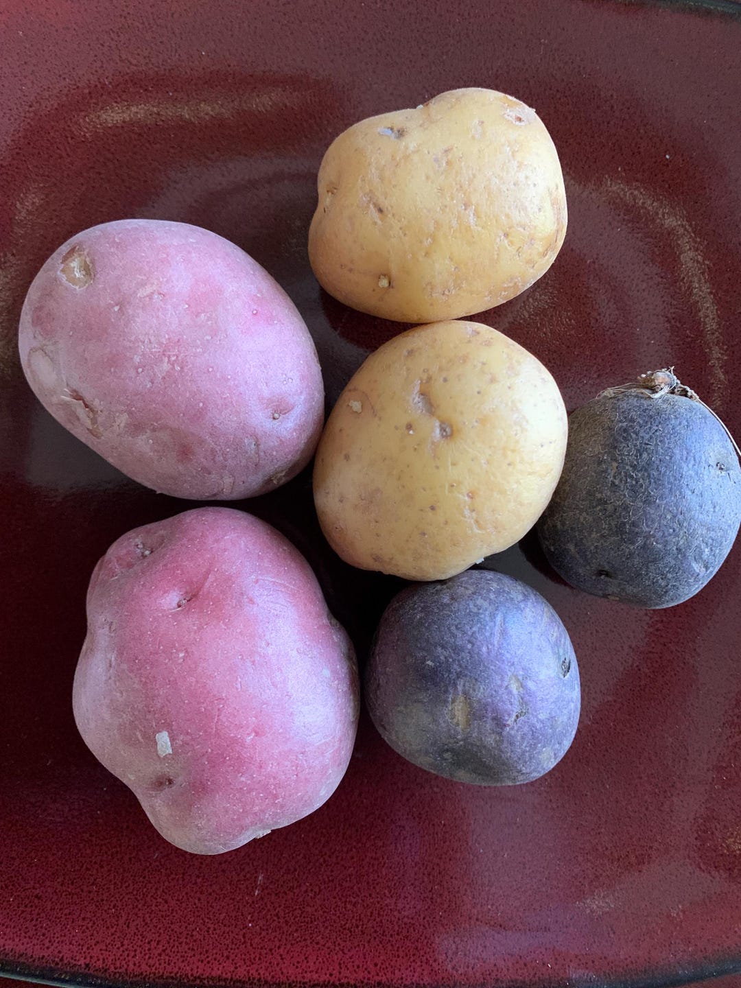 Varieties of Potato Organic Seedlings (6 Count per Order), New Sprouts ...