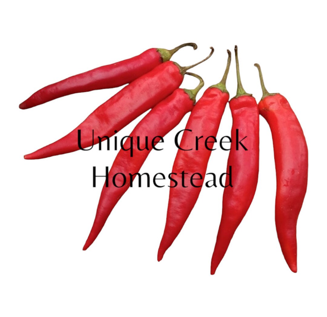 Gochugaru Kimchi Pepper Seeds Korean Mild to Medium Hot Chili 1,000 ...