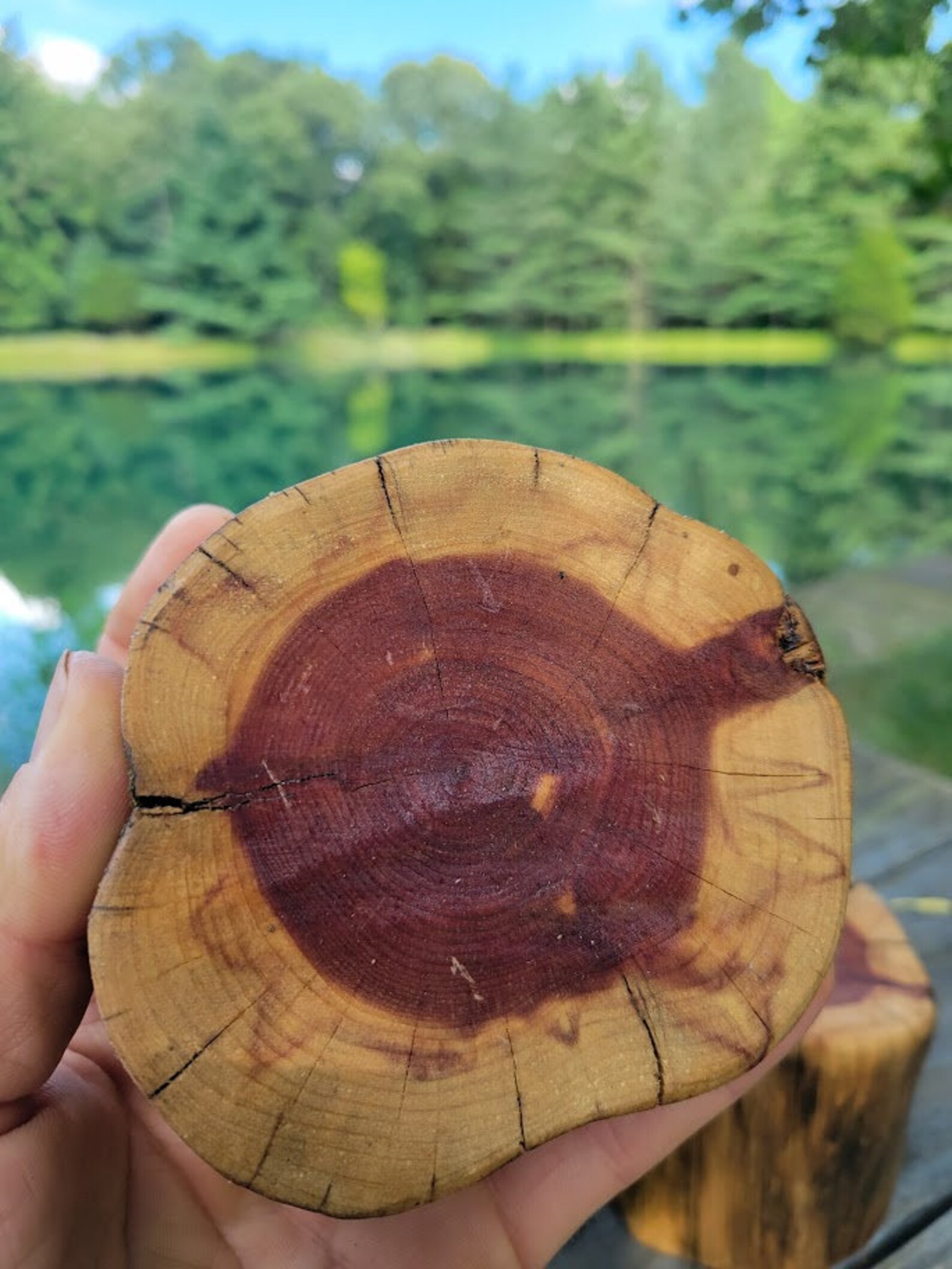 RED CEDAR RISERS Displays Set of Three Uses Jewelry Cupcakes - Etsy