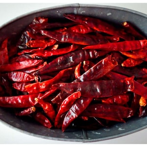 INDIAN JWALA Hot Chili Pepper Seeds Grown Unique Creek Homestead ...