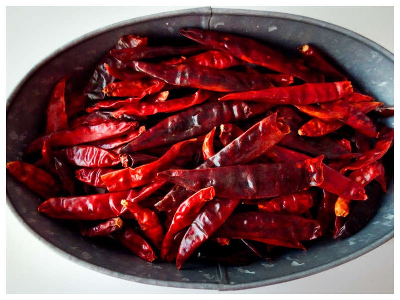 INDIAN JWALA Hot Chili Pepper Seeds Grown Unique Creek Homestead ...