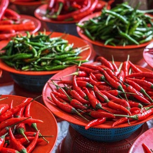 INDIAN JWALA Hot Chili Pepper Seeds Grown Unique Creek Homestead ...