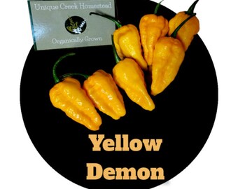 Yellow Datil Sweet Heirloom Pepper Premium Seed Packet - Etsy