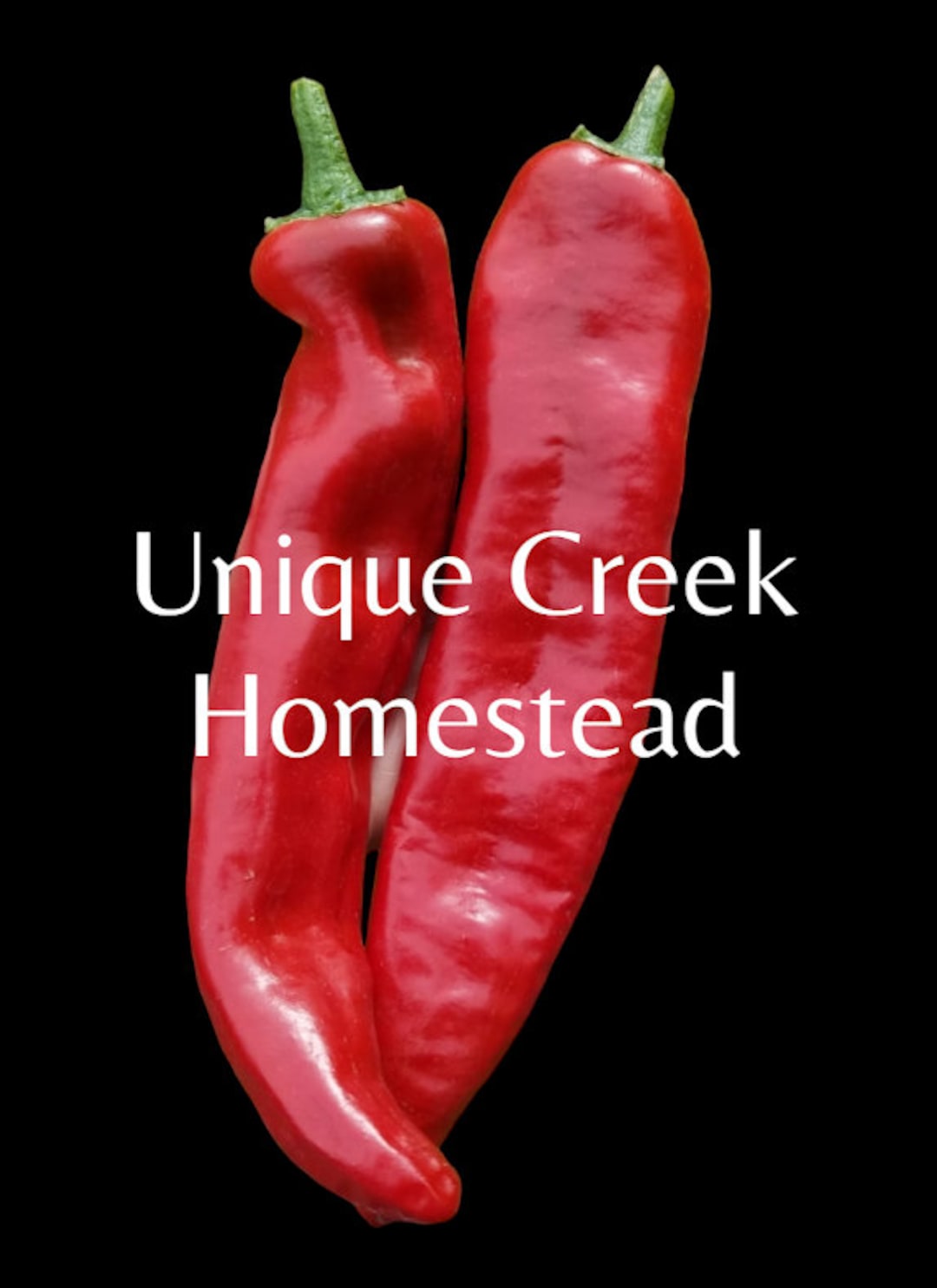 Guajillo Mirasol Pepper Seeds Mexican Cuisine Mild Chili 2500-5000 ...