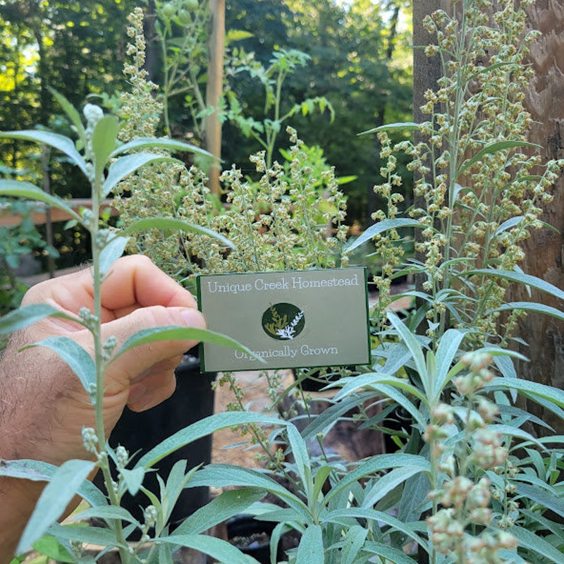 Sagebrush Craft - Etsy