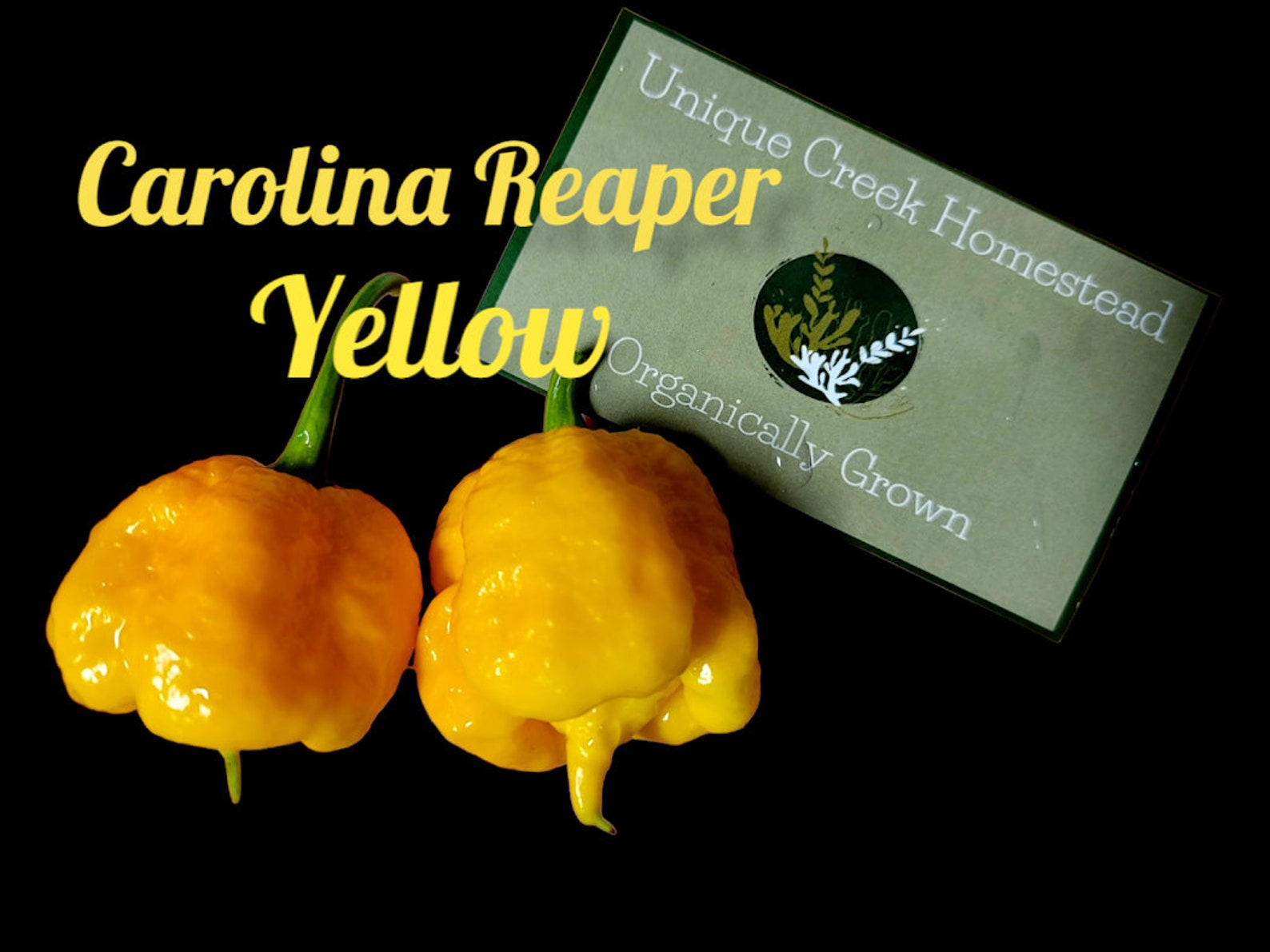 Yellow CAROLINA REAPER PEPPER Seeds Super Hot Chili Peppers 2,200,000 ...