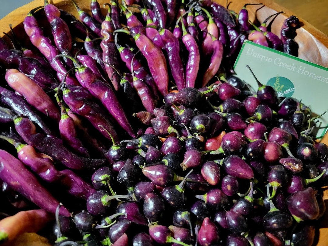 Biquinho Mildly PINK Pepper Seeds Little Beak Chili Peppers Organic ...