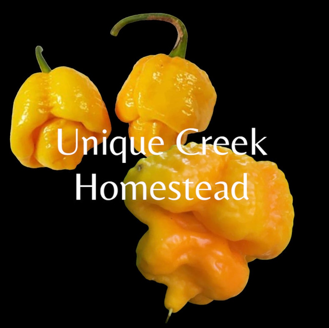 Trinidad Moruga Scorpion Yellow Super Hot Pepper Seeds 2,000,000 ...