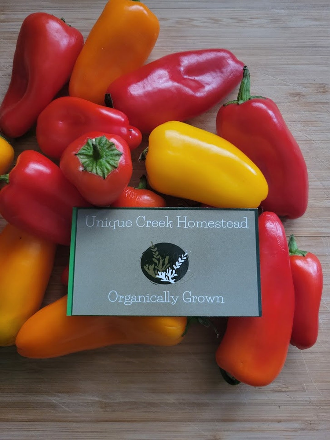 LUNCHBOX SNACKERS Sweet Mini PEPPER Seeds Grown at Unique Creek ...