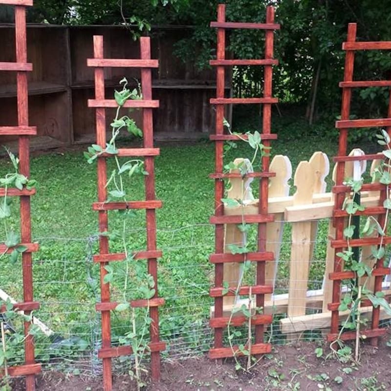 Garden Trellis - Etsy