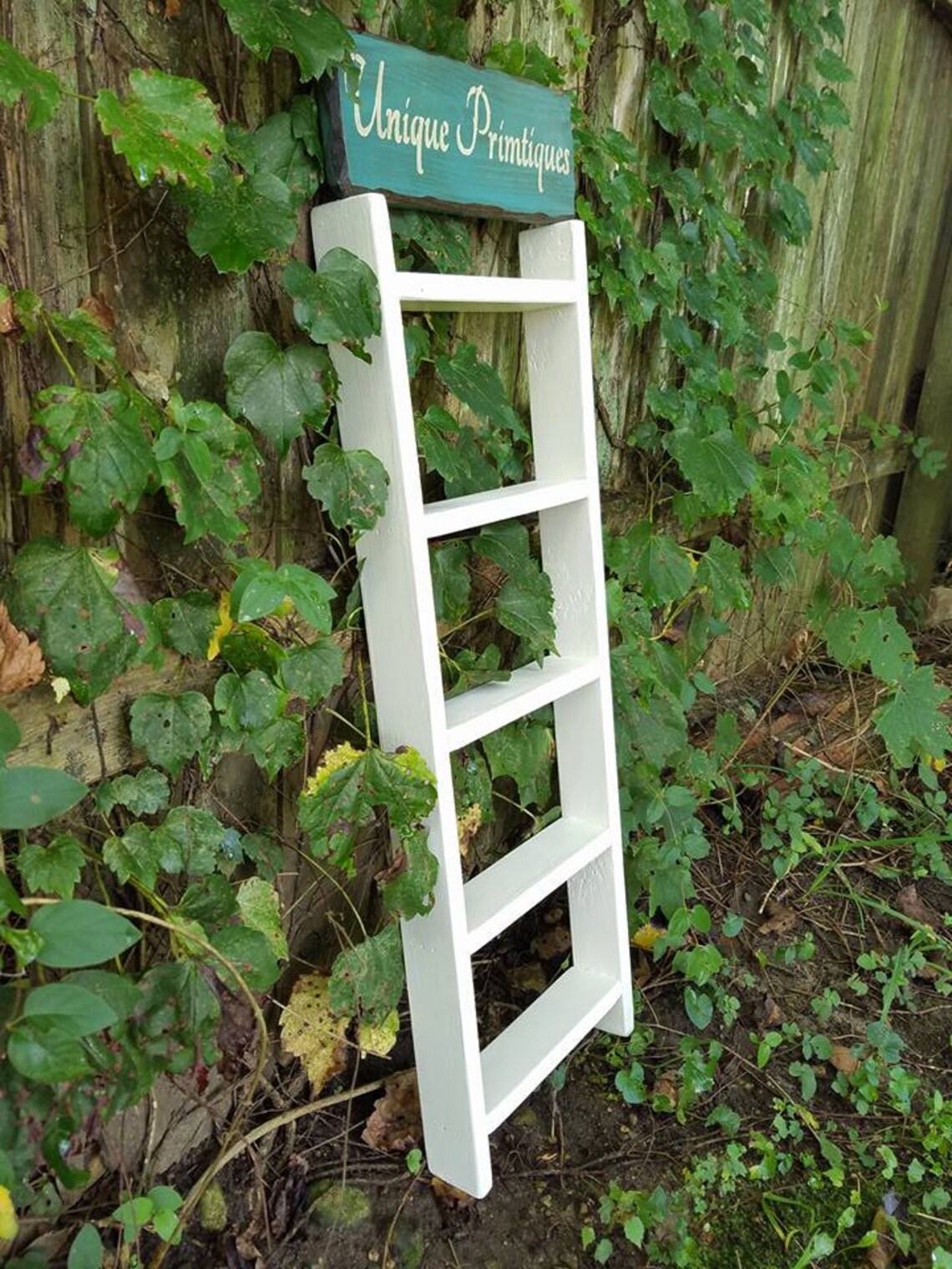 RUSTIC WOOD LADDER Rock Mineral Display Shelf White Home Wall | Etsy