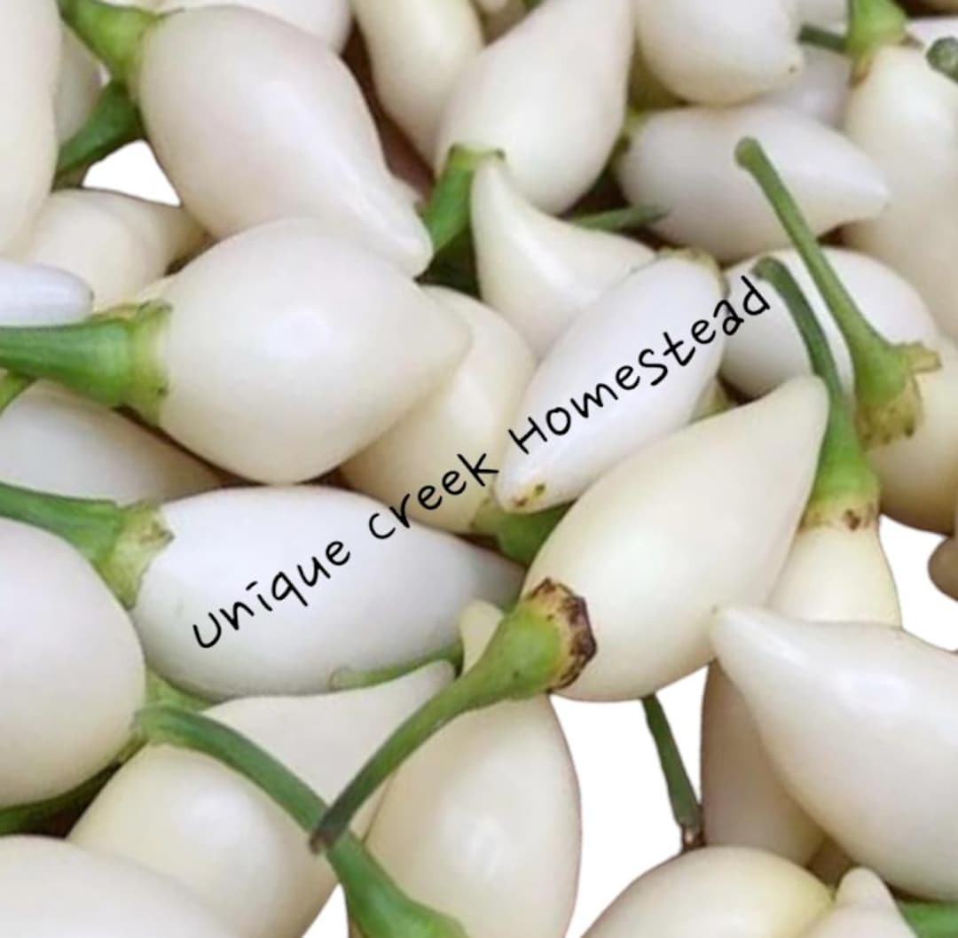 Sweety Drops Little Beak Chili Pepper Rare Seeds Unique Creek Homestead ...