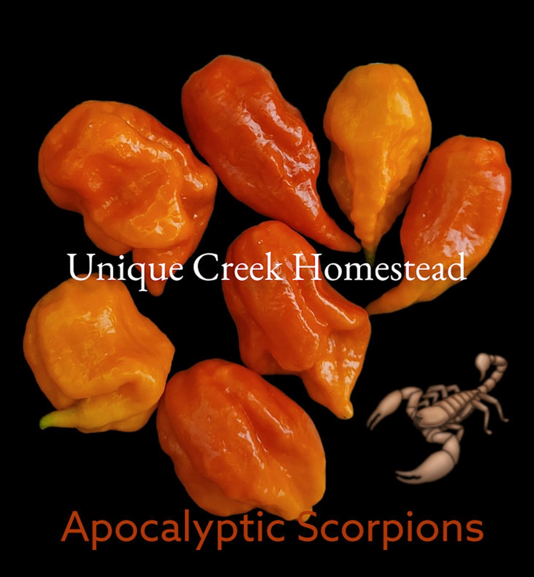 Apocalyptic Scorpion SUPER HOT Pepper Seeds 1,400,000+ Scoville Shu ...