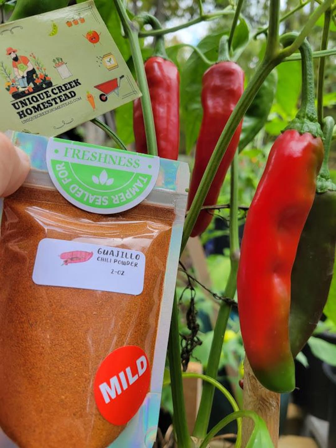 GUAJILLO Mirasol Chili Pepper POWDER Fine Ground Smoky Fruity MILD Low ...