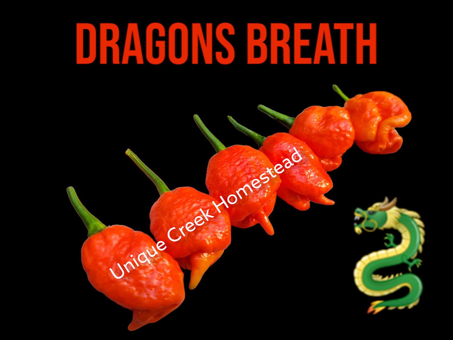 SUPER HOT Pepper Seeds VARIETY Packs Carolina Reaper Dragons Breath ...