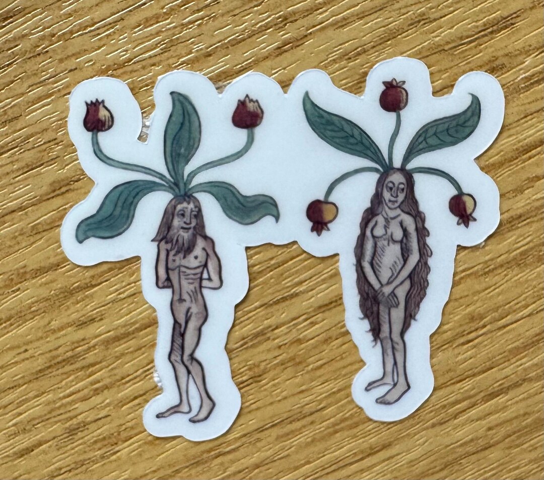 Mandrake Sticker (colour) - Etsy