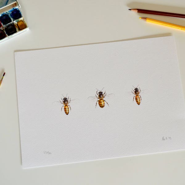 Bee Drawing - Etsy UK