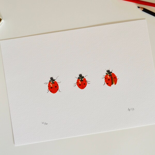 Ladybird Print Ladybug Picture Three Ladybirds Art Print Ladybirds ...