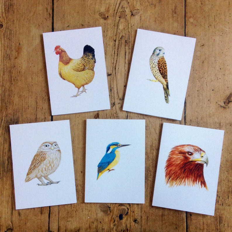 Birds card set Birds Eagle and Owl notelets Eagle Owl | Etsy