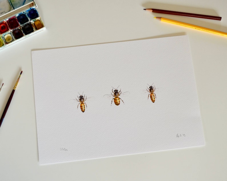Bee Print Honey Bees Picture Bee Art Print Three Bees Drawing - Etsy UK