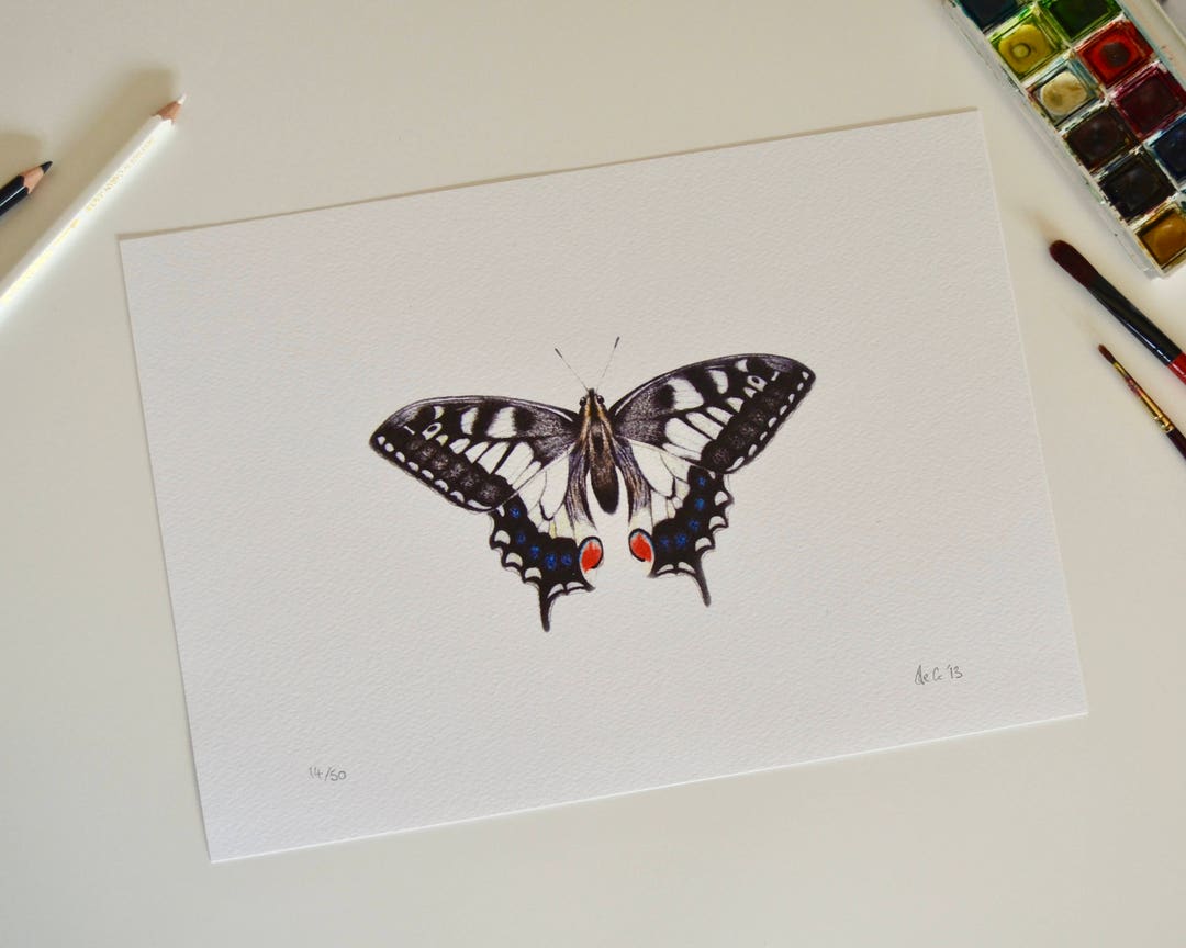 Butterfly Print | Swallowtail Butterfly | Butterfly Picture | Black and ...