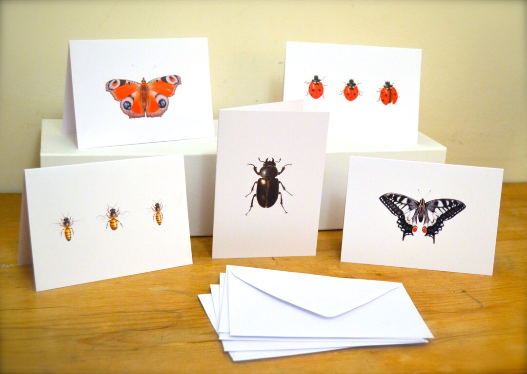 Insect Note Card Set Butterfly Cards Beetle Card Bees - Etsy