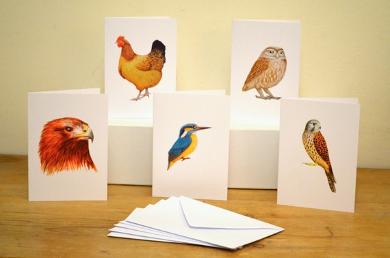 Birds card set Birds Eagle and Owl notelets Eagle Owl | Etsy