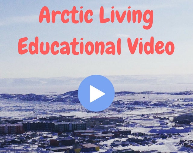 PolarPenPal - Etsy Canada