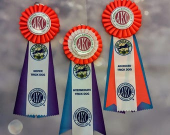 AKC Rally NOVICE Laminated Sign Set With Practice Courses - Etsy