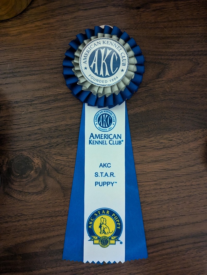 CGC: Canine Good Citizen Rosette / STAR Puppy - Etsy