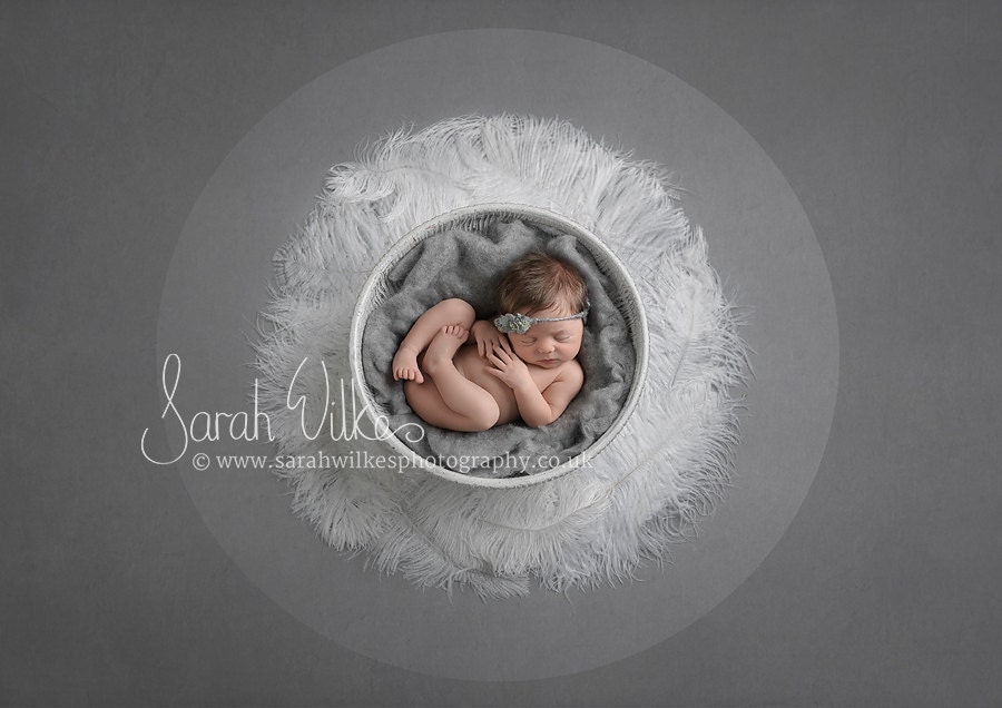Newborn Digital Backdrop Circle Feather Swirl - Etsy